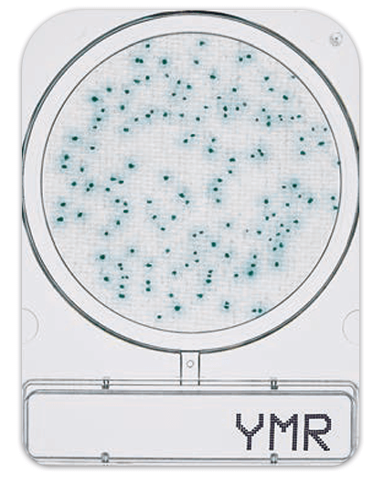 CompactDry 乾式薄膜快檢培養基(食品微生物快速檢測片) 日本製造 | 啟新生物科技-生技醫療的領導品牌 Creative