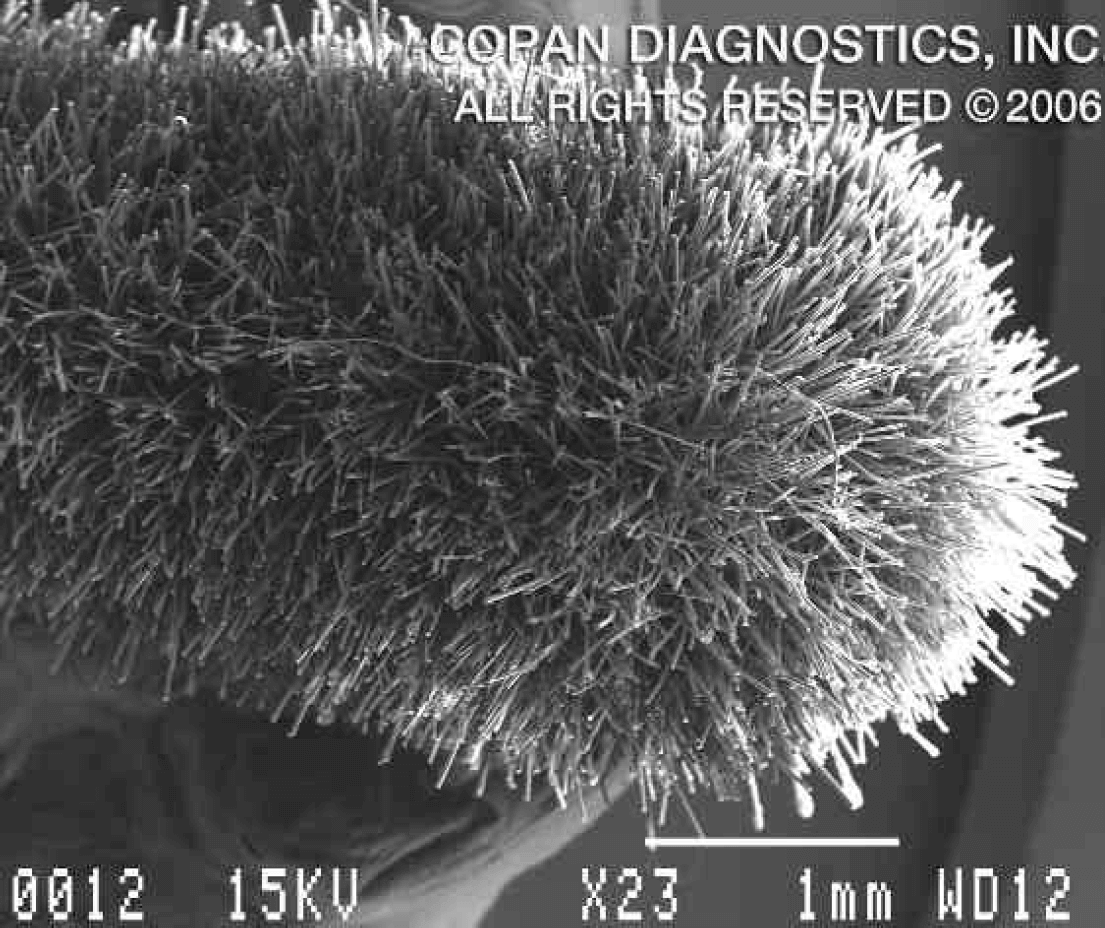 環境微生物採樣設備：採集用棉棒 Quantiswab | 啟新生物科技台灣微生物專業製造代理國際微生物設備品牌