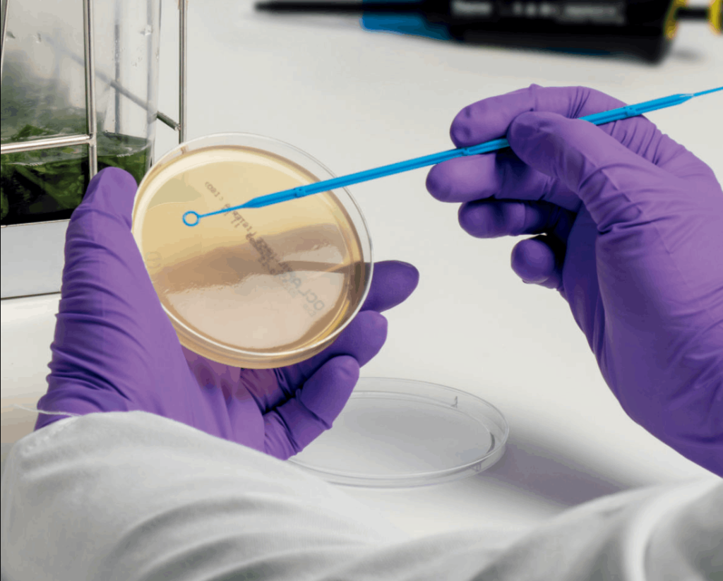 單核球增多性李斯特菌快速定量檢驗方法(AFNOR國際認證) LISTERIA PRECIS METHOD