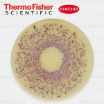 抗藥性菌株產色培養基 Oxoid™ Brilliance Resistance Screening | 啟新生物科技-生技醫療的領導品牌 ...